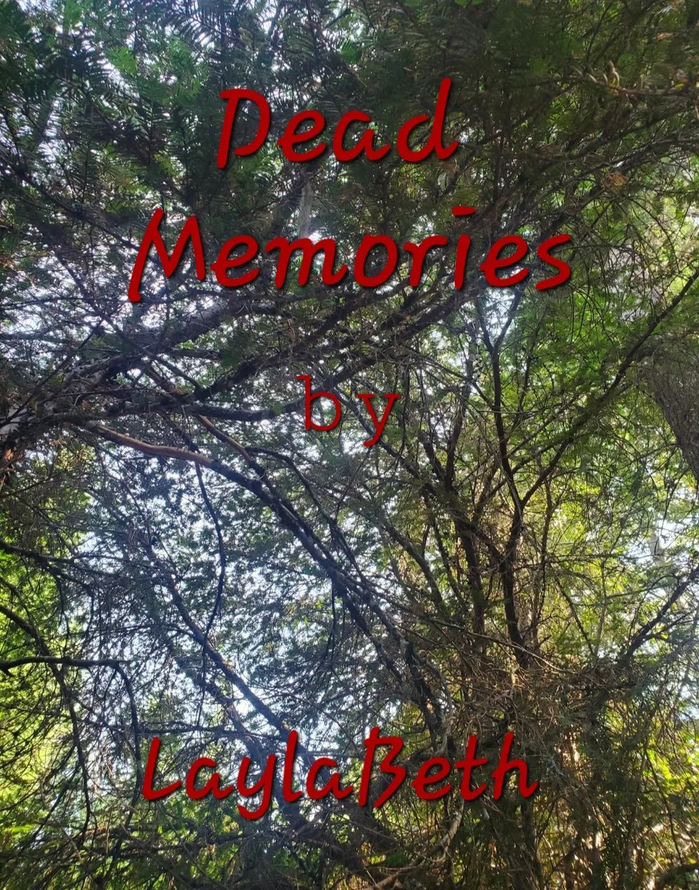 Dead Memories | Novelo